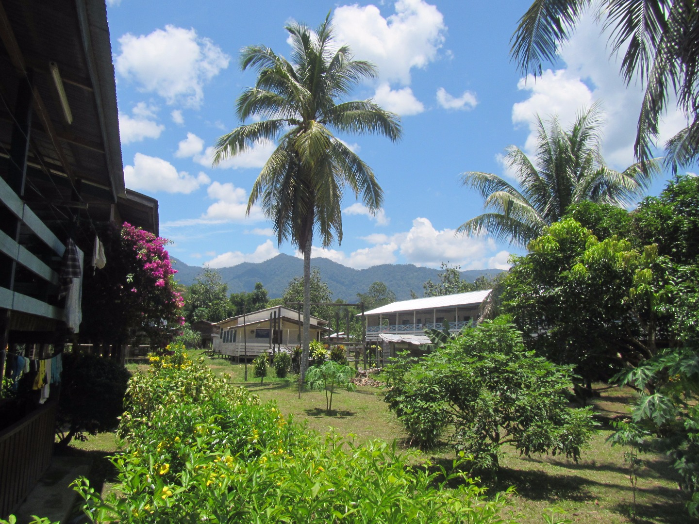 Picnic with the Penan tribe | Sarawak | Adventure Alternative Borneo